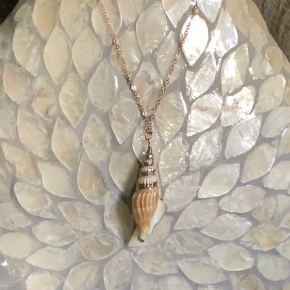 Hand Crafted | Jewelry | Gold Shell Necklace | Poshmark